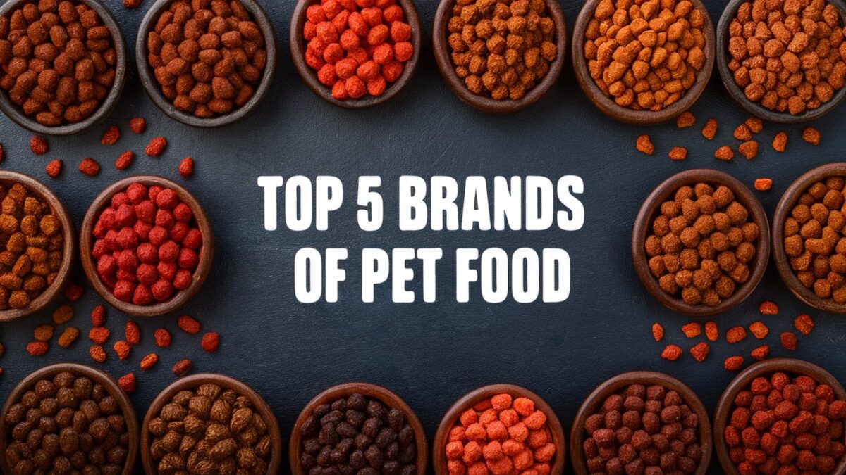 Top 5 Brands